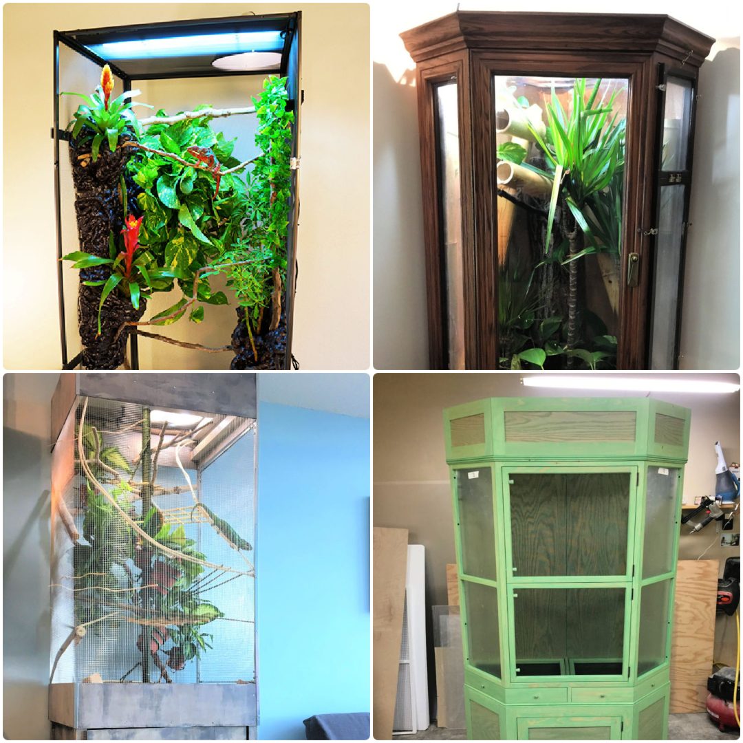 16 Homemade DIY Chameleon Cage Ideas